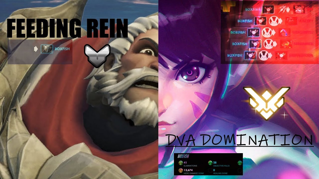 Feeding as Rein to Dva DOMINATION | 4201 SR peak - YouTube