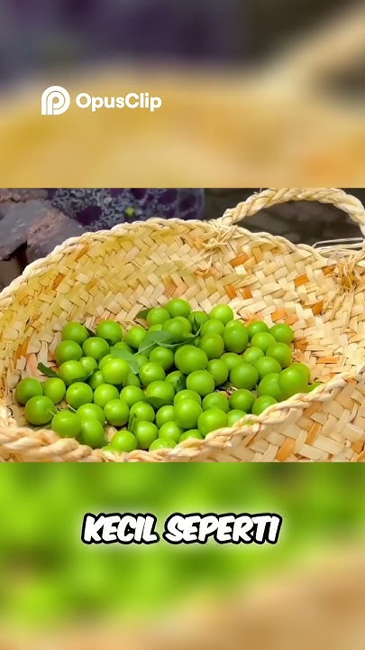 Kembali hidup dalam kehidupan, menikmati setiap momen yang kita lalui #bahagia #nature #desa # ...