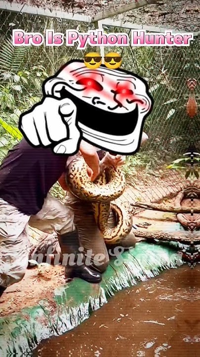 Bro Python Hunter🥶🥶,#sigma,#shorts,#shortvideo,#sigmalife,#sigmarule,# ...