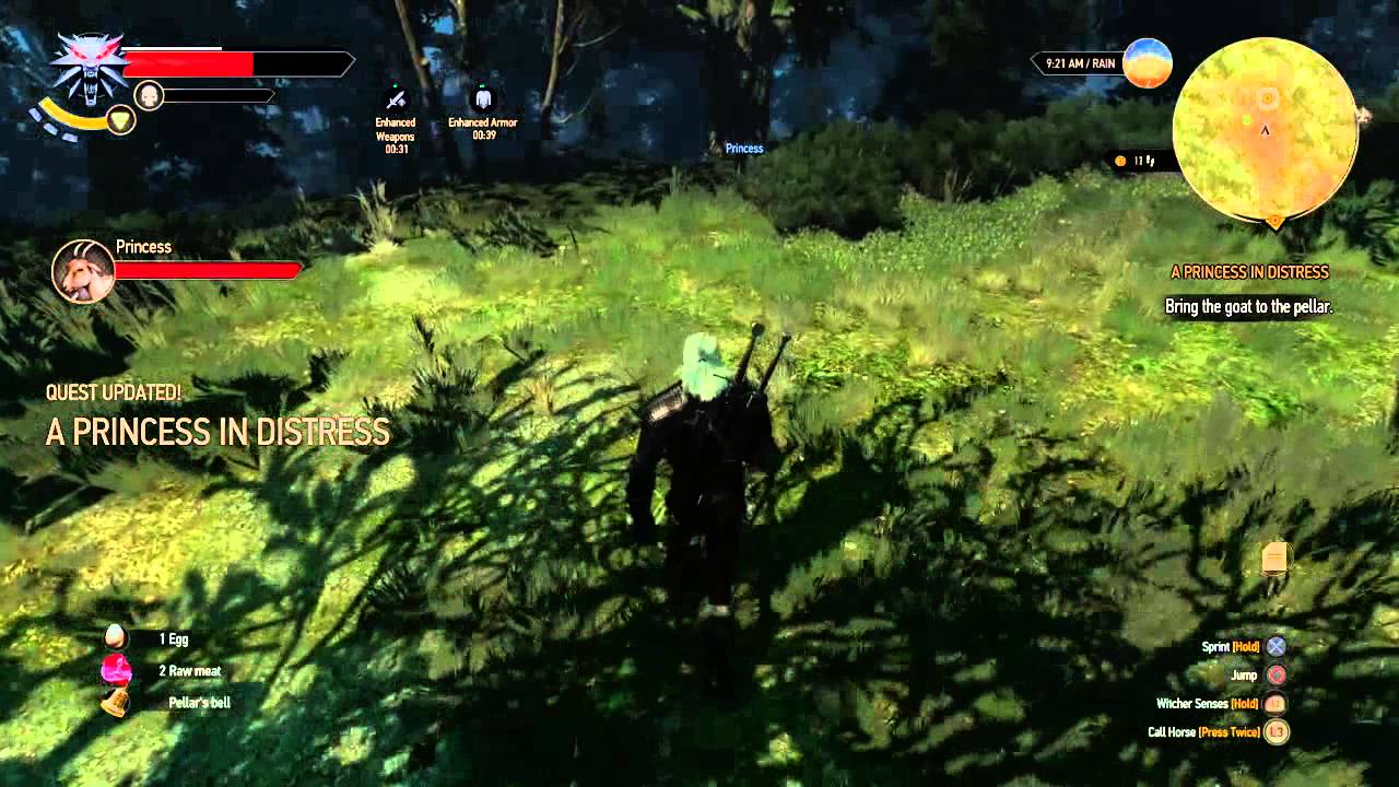 The Witcher 3: A Princess in Distress Quest - YouTube