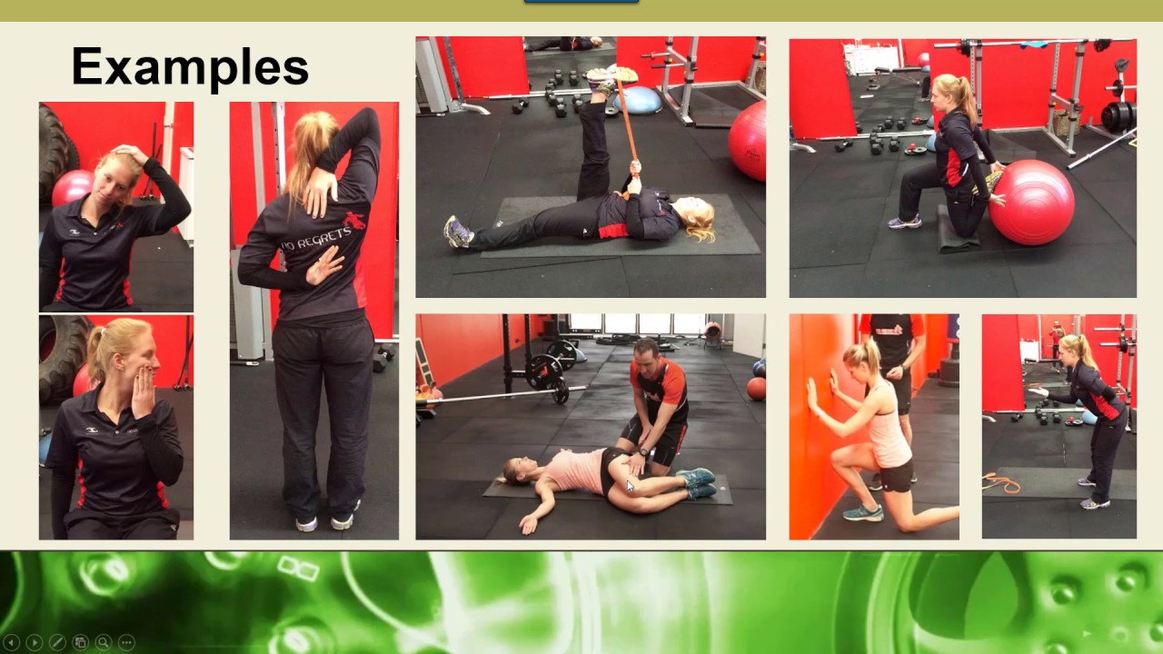 Stretching & Flexibility - Everything You Need To Know - YouTube