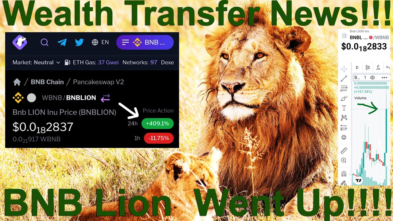 Wealth Transfer News! BNB Lion is Running!!! BNB Tiger! WhiteTigerMoon! Ocicat! Wikicat! Cat ...