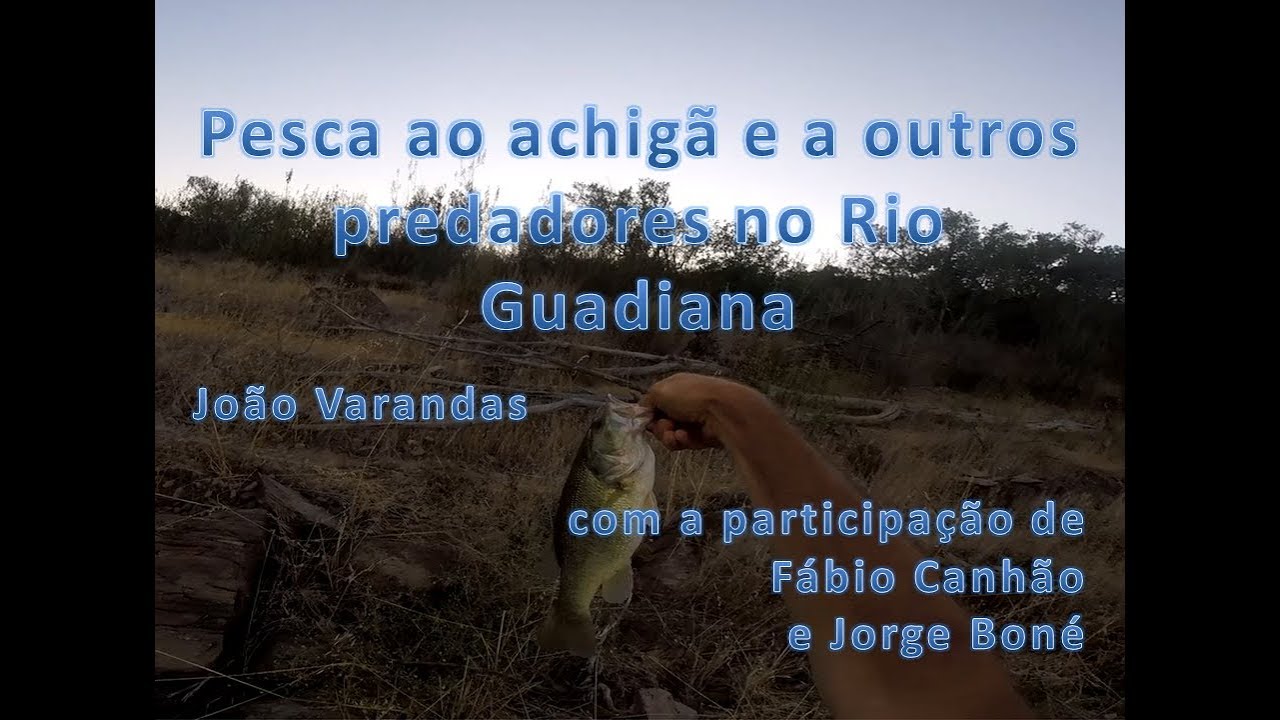 Pesca ao achigã e a outros predadores no Rio Guadiana - YouTube