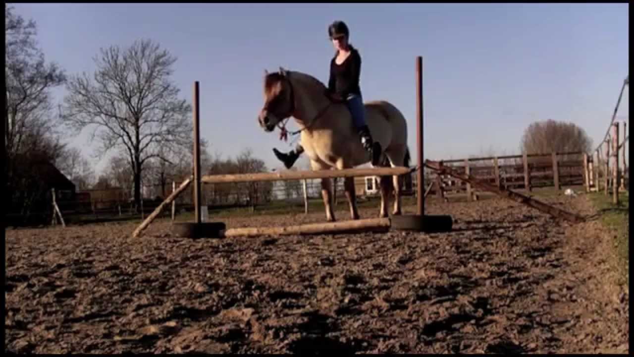 Raws jumping bareback and lunging] - YouTube