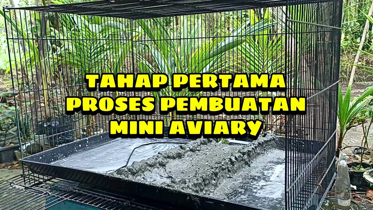 PEMBUATAN MINI AVIARY DENGAN TEMA SUNGAI | PART 1 - YouTube