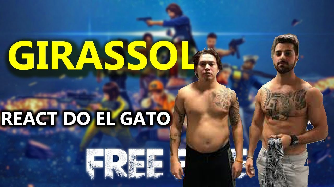 EL GATO REAGINDO A NOVA MÚSICA DO ALOK COM WHINDERSSON NUNES - YouTube