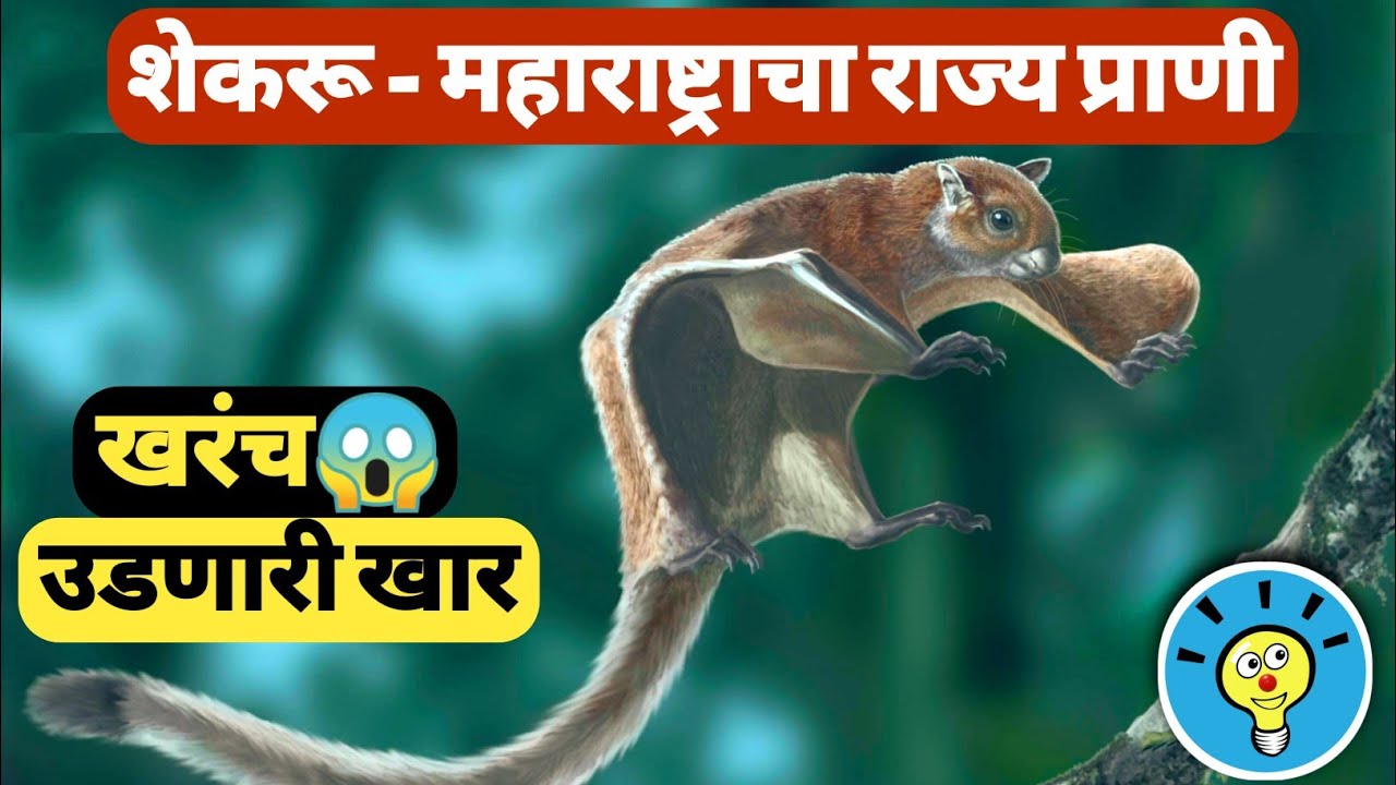 महाराष्ट्राचा राज्य प्राणी शेकरू बद्दल माहिती | Indian Giant Squirrel ...