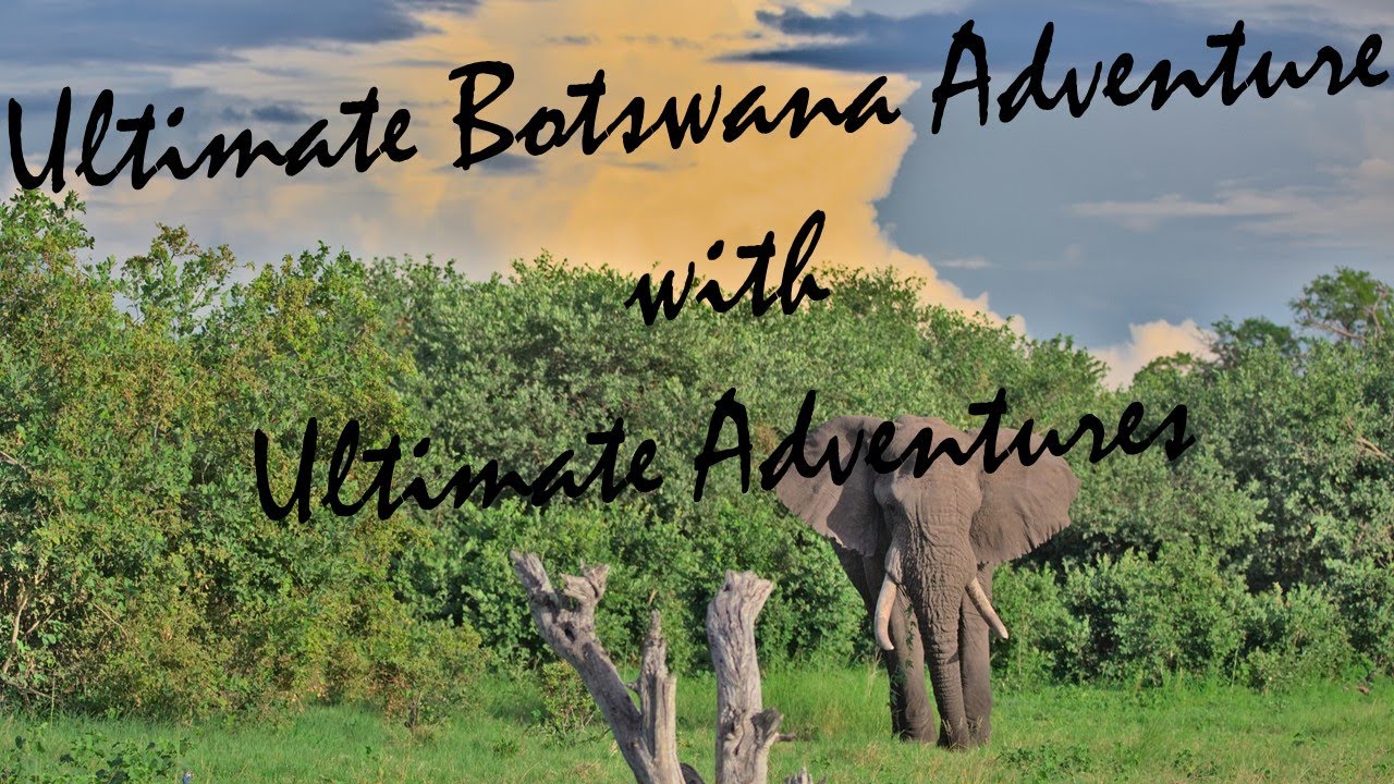 The Ultimate Botswana Adventure with Ultimate Adventures - YouTube
