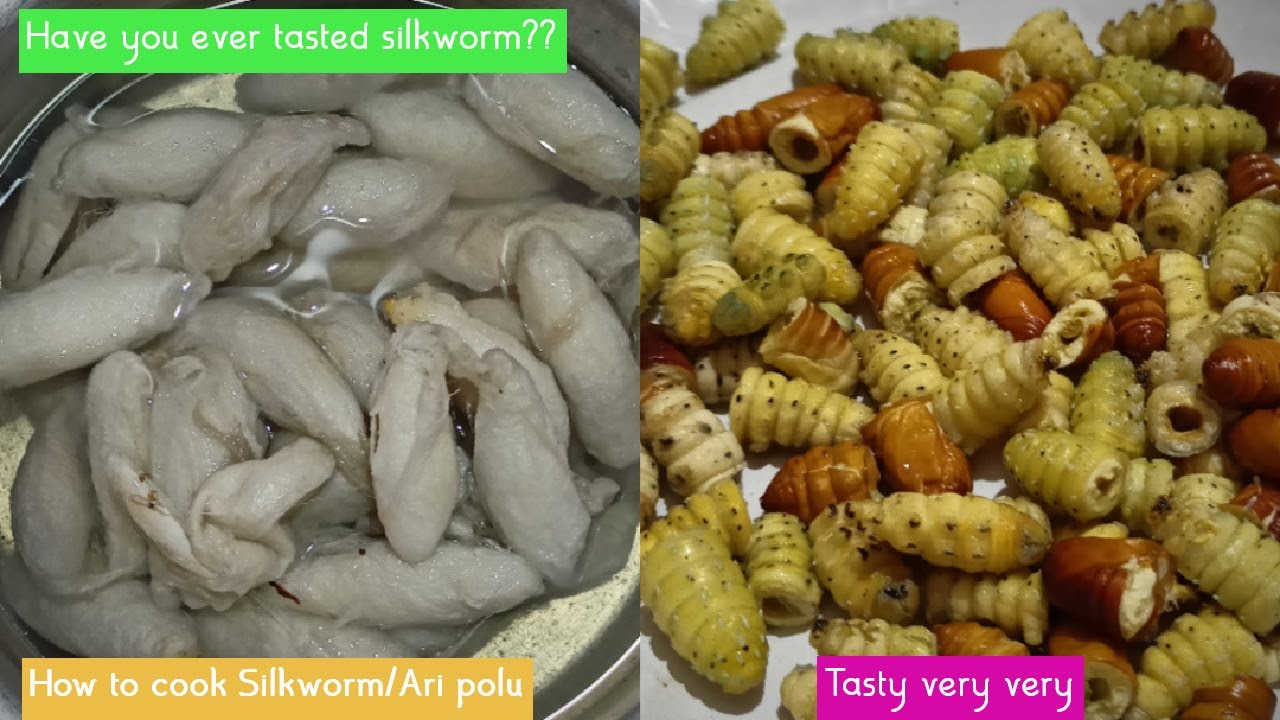 Silkworm recipe | How to cook Silkworm/Ari polu | Assamese video ...