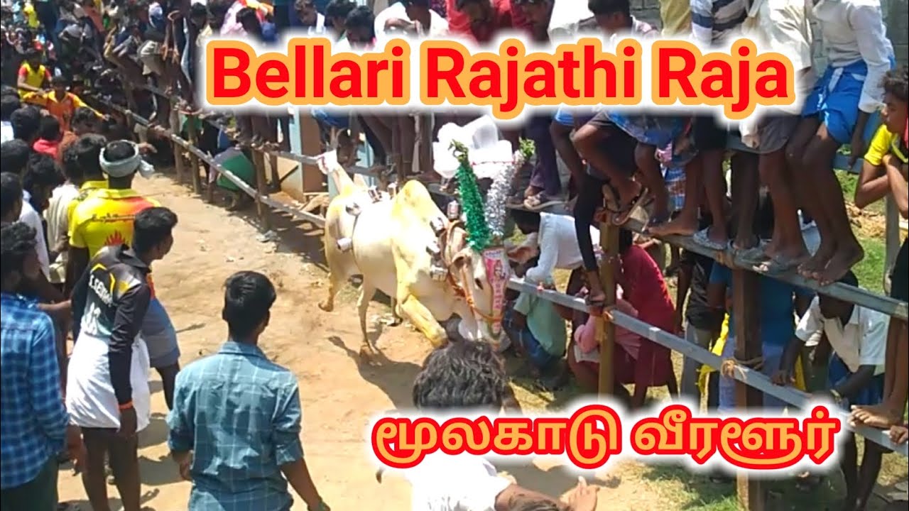 ||Bellari Rajathi Raja ||மூலகாடு வீரளூர் வீதி ||Tamizh Rock || - YouTube