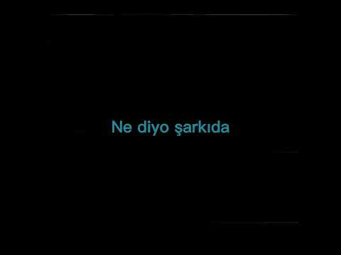 Ne Diyo Şarkıda x Haykıracak Nefesim(sözleri-lyrics)