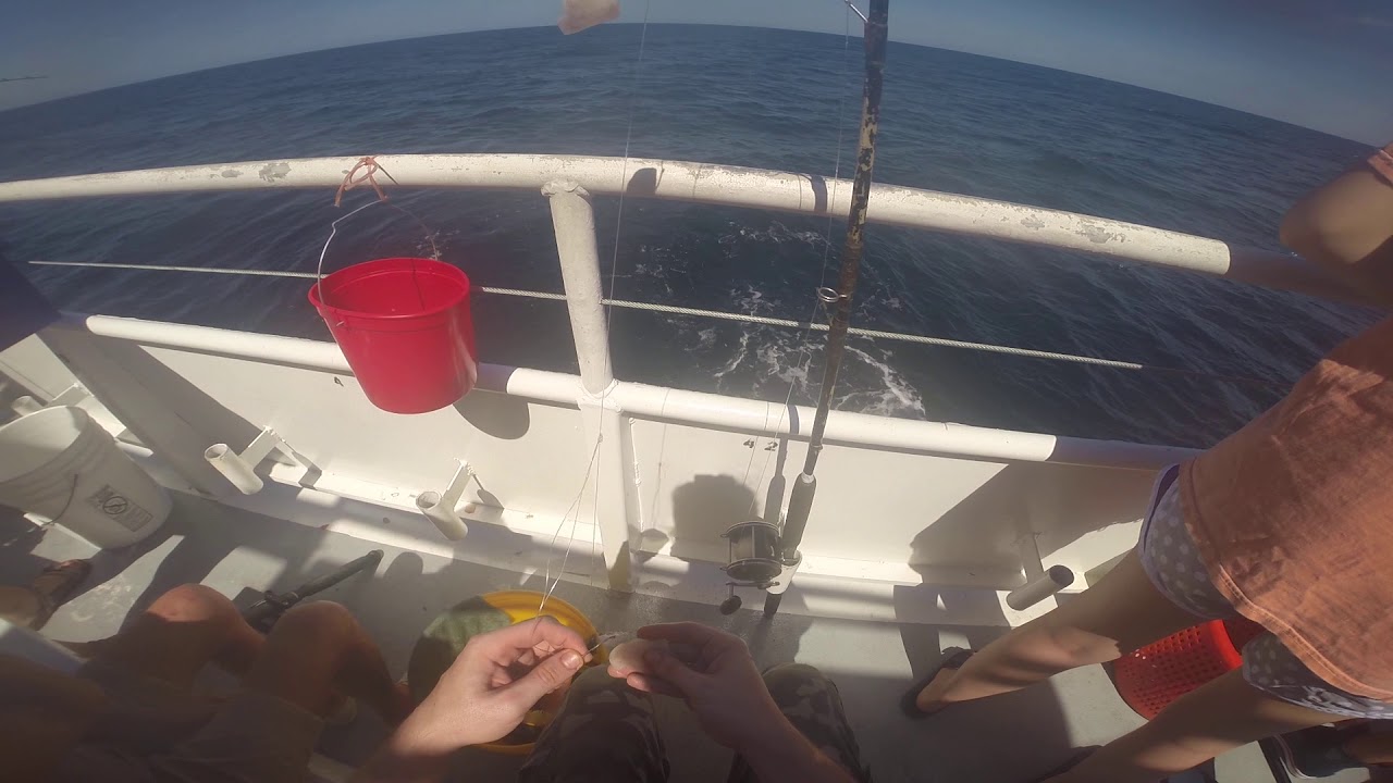 Captain Anderson deep sea fishing 2020 - YouTube