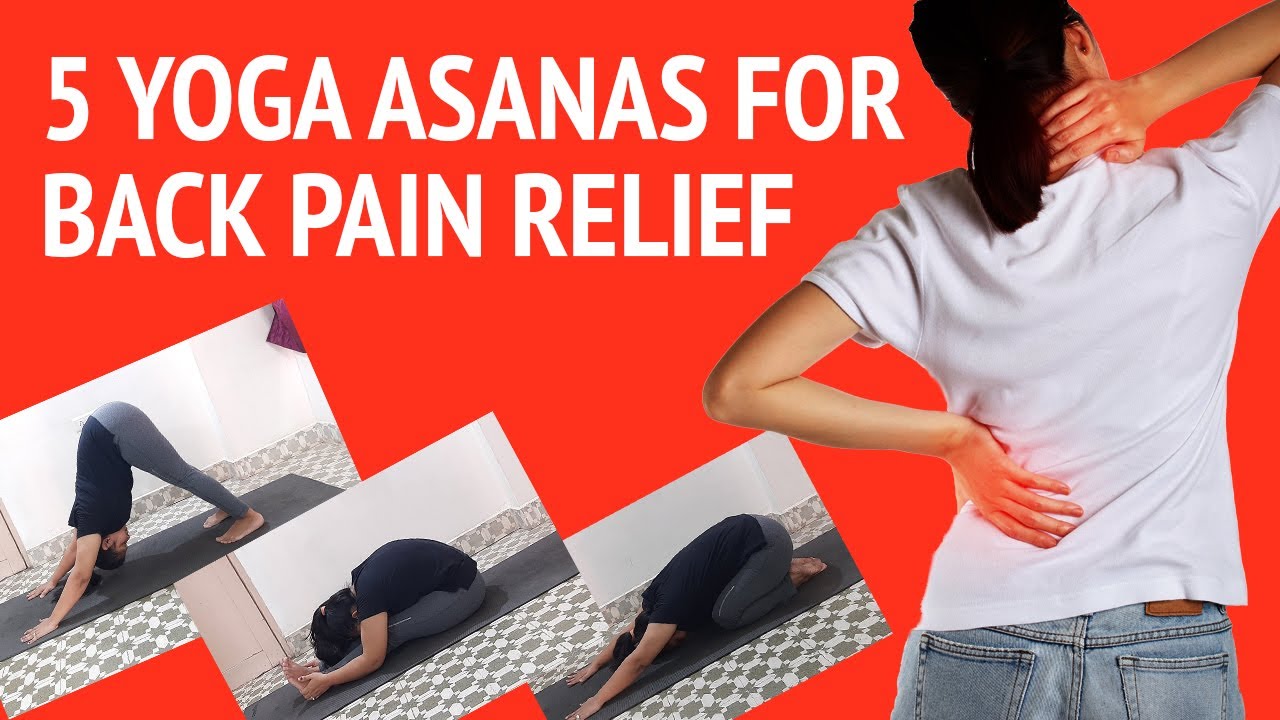 5 Yoga for Back Pain Relief | Easy Asanas for Back Pain | पीठ दर्द से ...