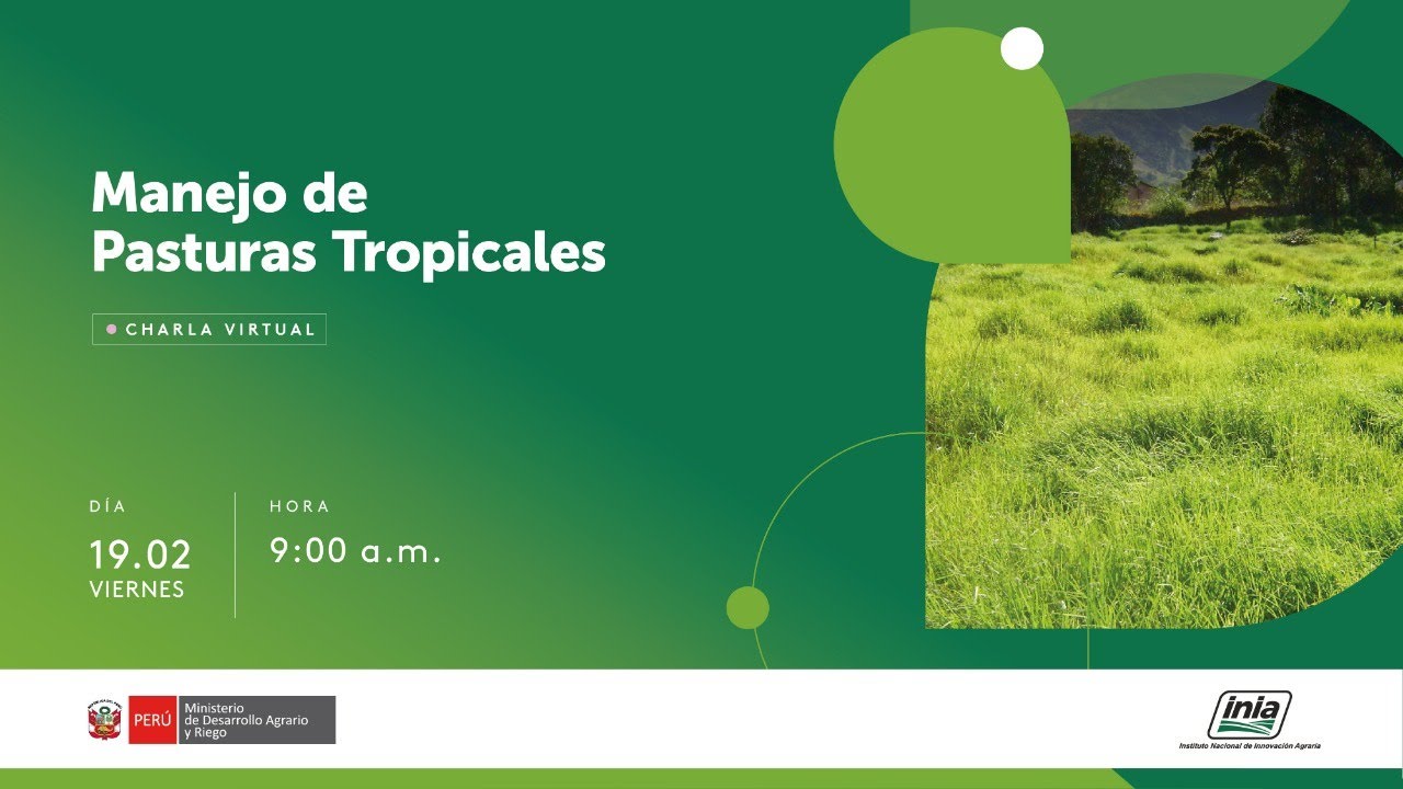 Manejo de Pasturas Tropicales - YouTube