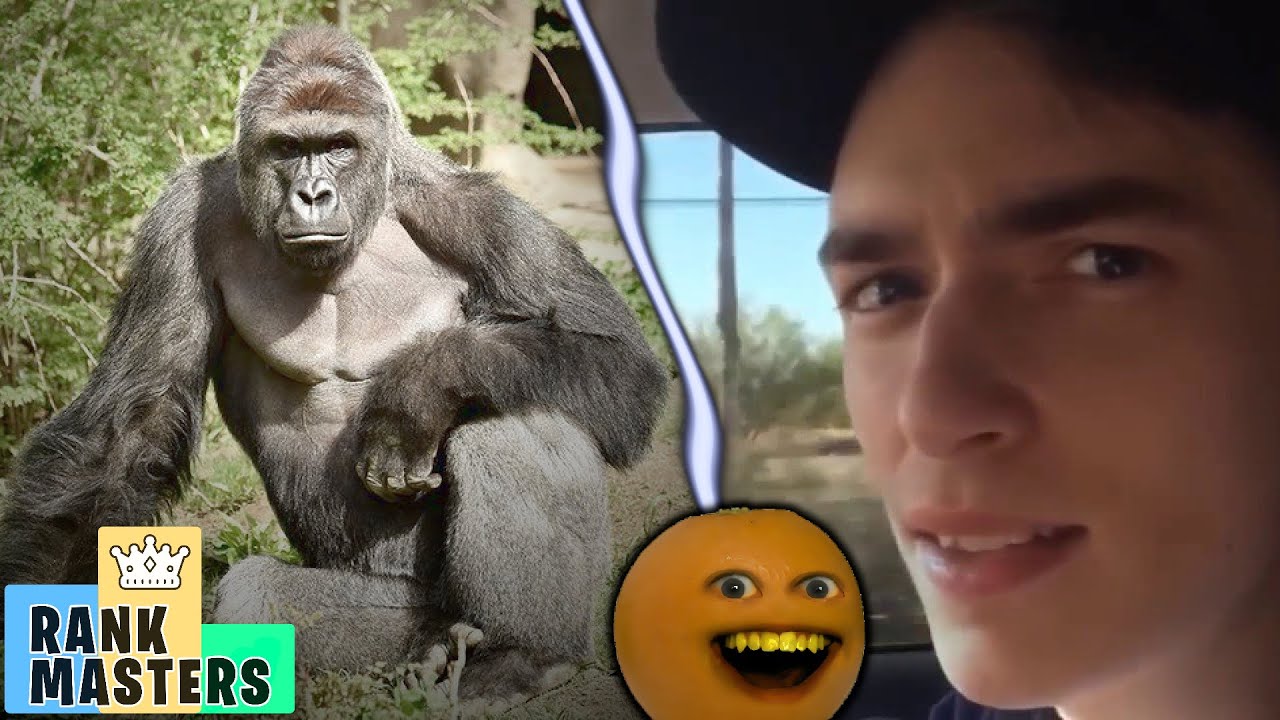 The 11 Best MEMES (of the 2010's) - Rank Masters Podcast - YouTube