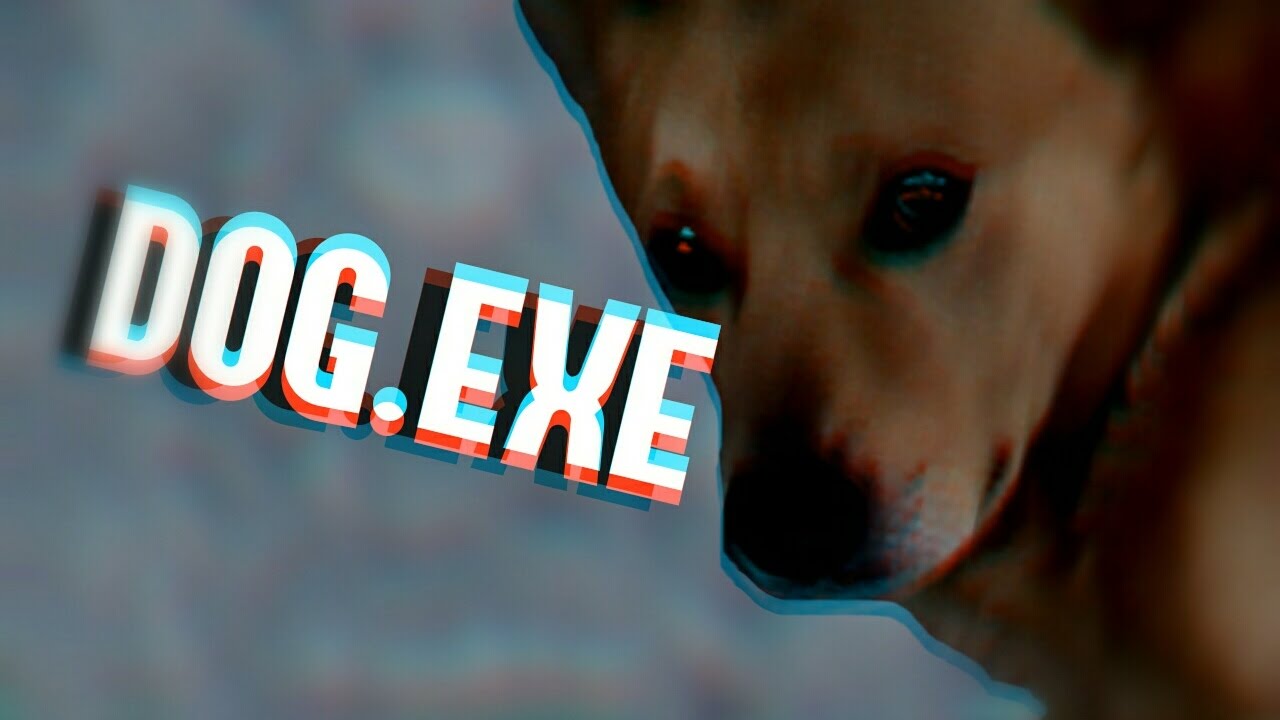 DOG.EXE - YouTube