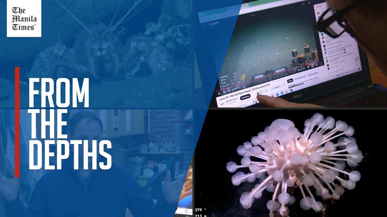 Underwater robot live stream captivates Argentines - YouTube