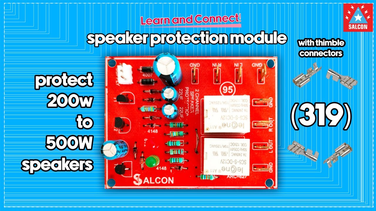 Speaker Protection Module for 200-500W Speakers (319)/ Let's Connect ...
