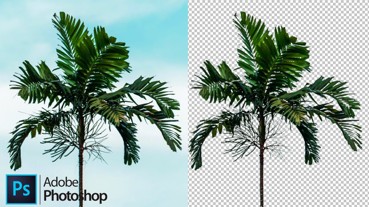 How to Cut Out Tree in 1 Minute With Adobe Photoshop - YouTube