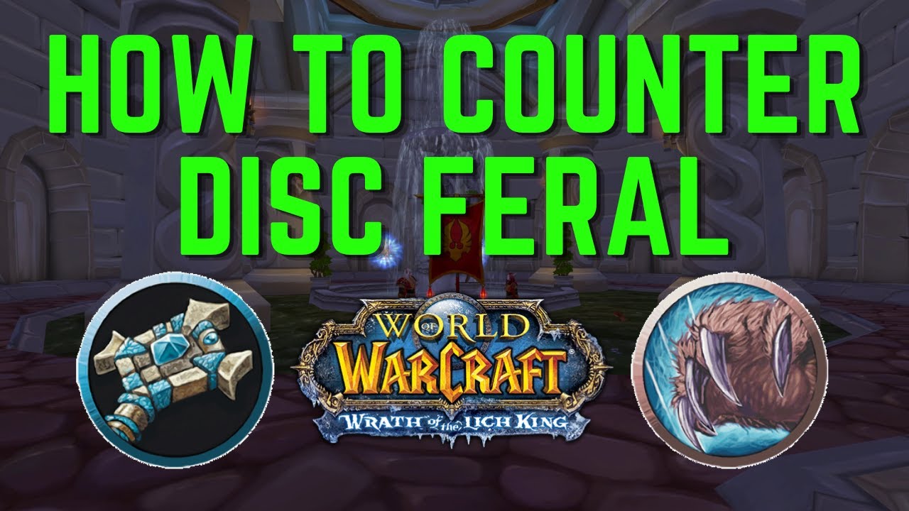 How to Counter Disc Priest Feral in Wotlk Arena PvP - YouTube
