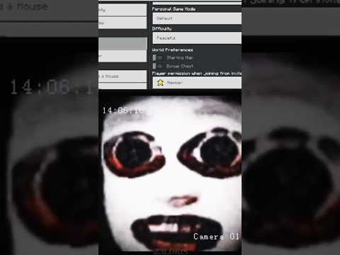 Is it A Glitch or There is Something? || Minecraft Creepypasta