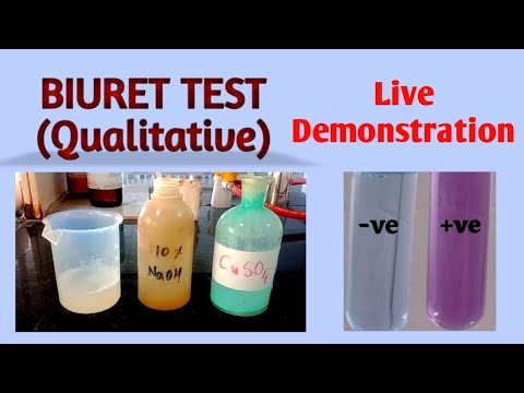 Biuret test || #Biochemistry - YouTube
