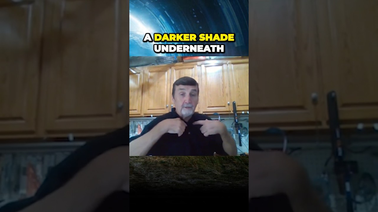 Alien Encounters Face to Face UFO Witness Chris Bledsoe Describes ...