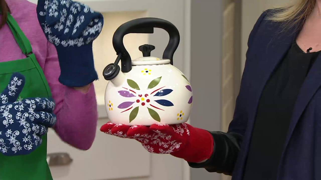 Temp-tations Set of 2 Holiday Oven Mitts w/ Gift Box on QVC - YouTube