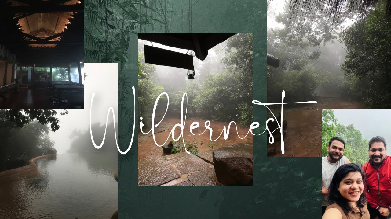 Wildernest Goa या ठिकाणी रात्री काय काय प्रकार चे जीव दिसले ते नक्की ...