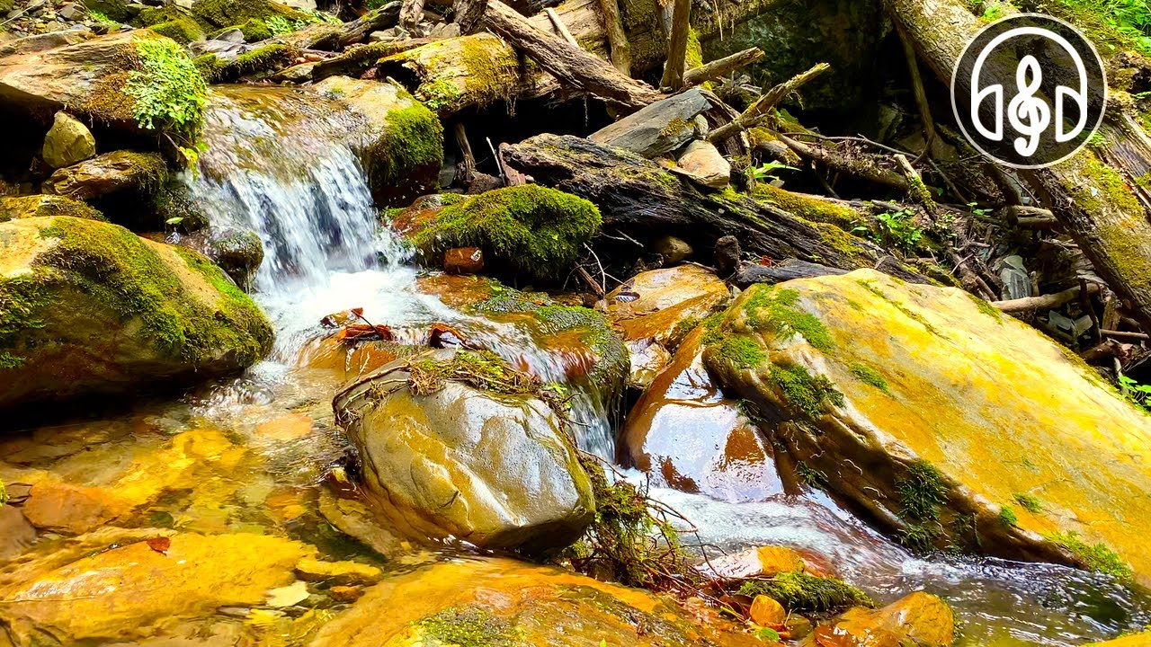 Soothing Sounds of a Mountain Stream For Sleep, Relaxation and ...