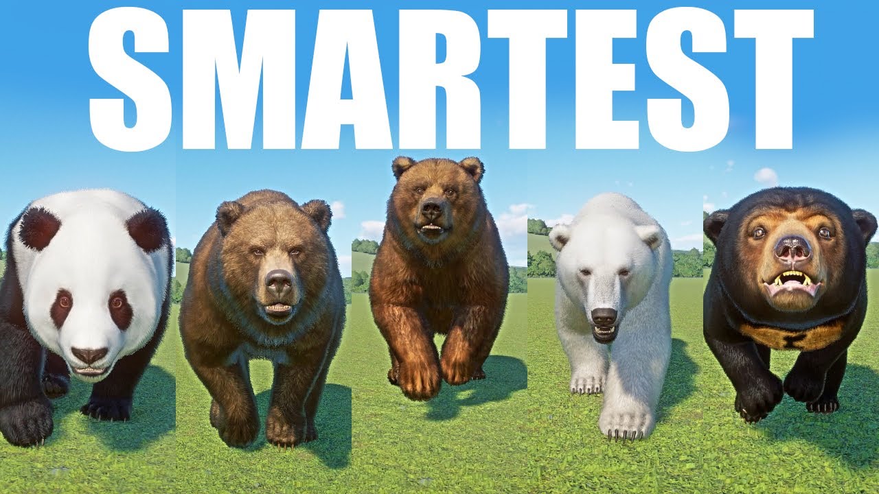 The Smartest Bears in the Maze Speed Races in Planet Zoo A Males ...