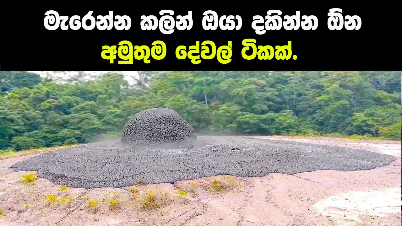 අහම්බෙන් කැමරා වල පටිගත වුනු ජීවිතේ පලවෙනි වතාවට දකින දේවල් ටිකක්