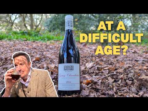 Mark Haisma Gevrey Chambertin 2016