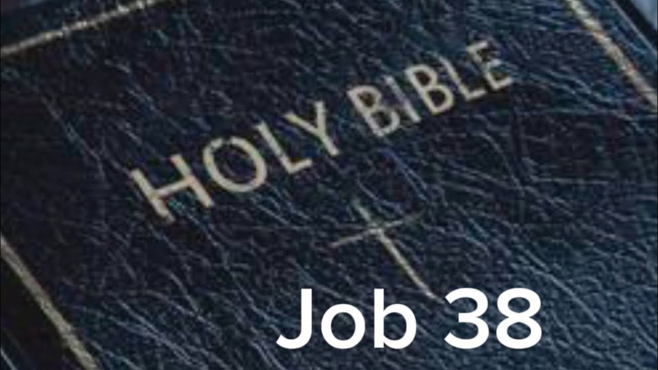 Job 38 (NIV) The Audio Bible - YouTube