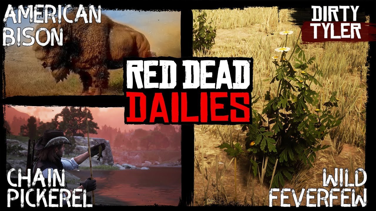 RDR2 Wild Feverfew, Bison and chain Pickerel locations - Daily ...