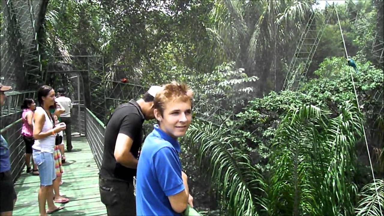 Biocentro Guembé Mariposario Resort. - YouTube