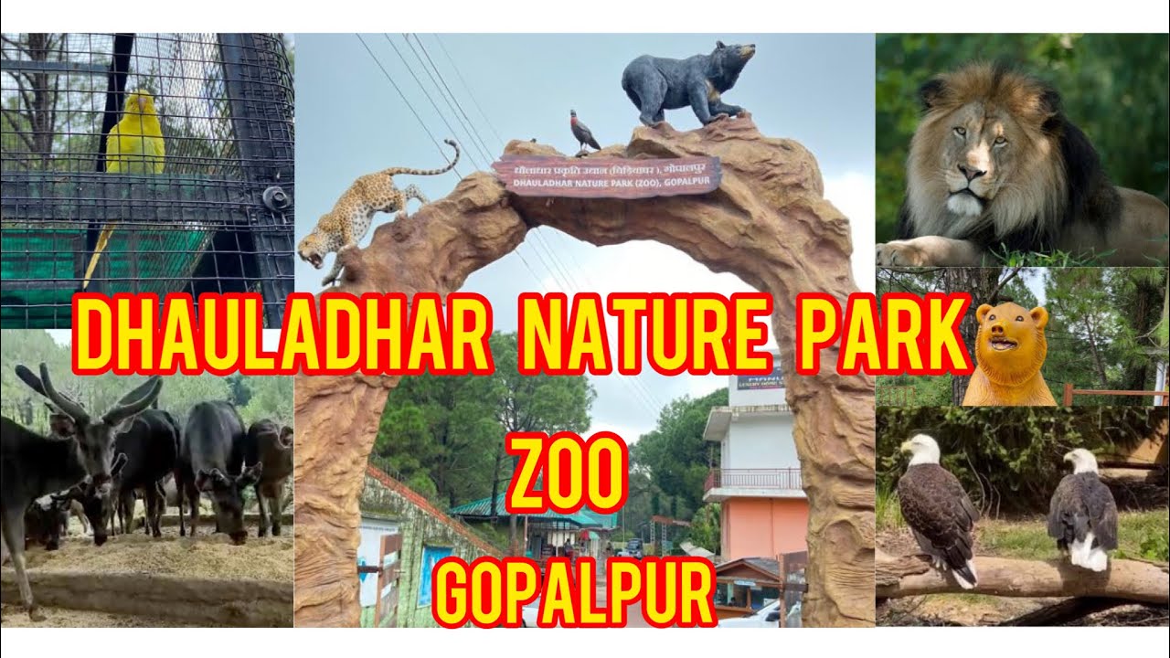 Gopalpur Zoo🐅 || Dhauladhar Nature Park || Palampur || Himachal Pradesh ...