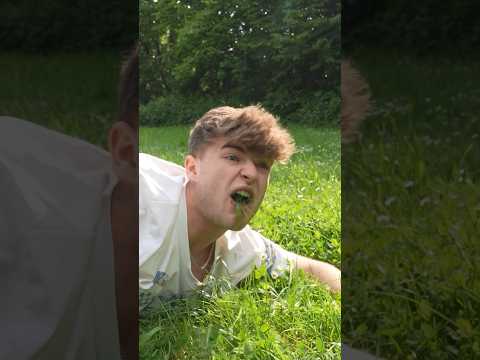 Sinnlose Fragen🤣 | Lewinray #shorts