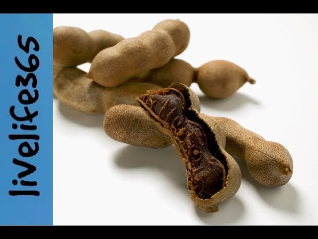 Sampaloc Fruit