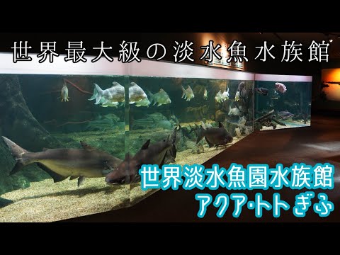 【岐阜】高速道路から入れる水族館!!世界淡水魚園水族館「アクア・トト ぎふ」-アクセス,駐車場,川島PA,World Freshwater ...