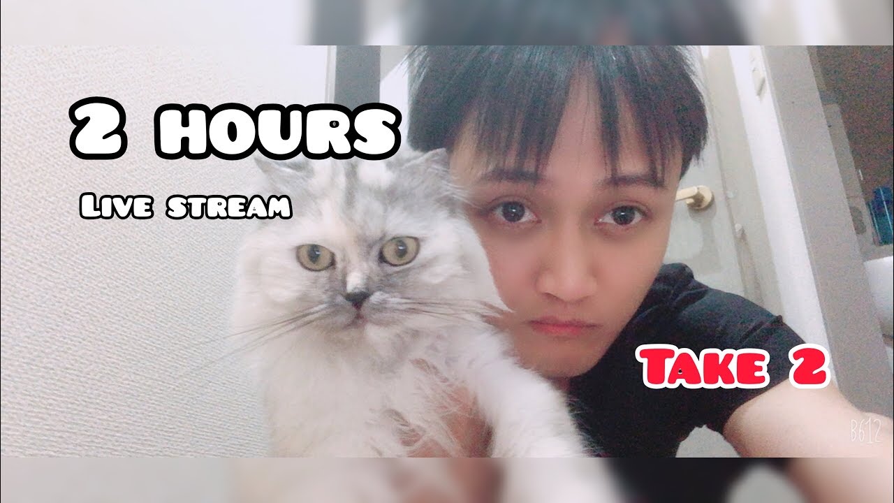 2 Hour Live Stream - YouTube