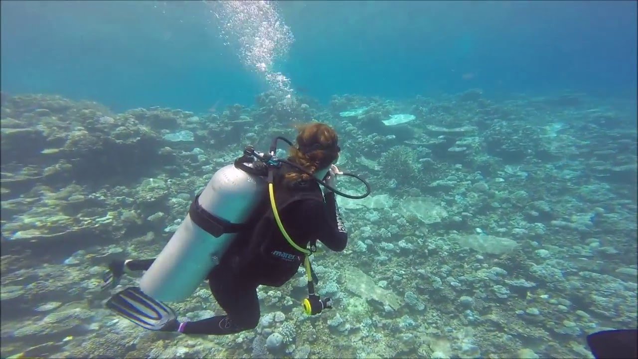 diving in the maldives - YouTube