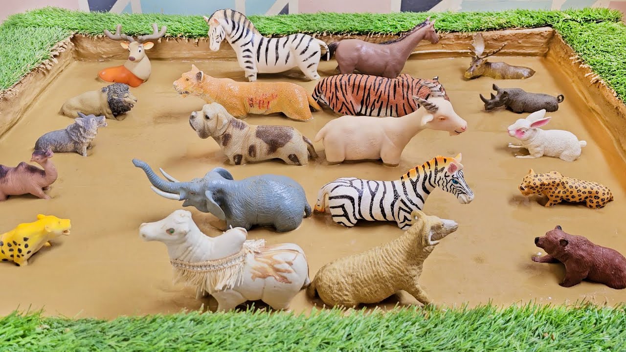 Thrilling Exploration of Indian Animals Safari Creatures and Forest ...