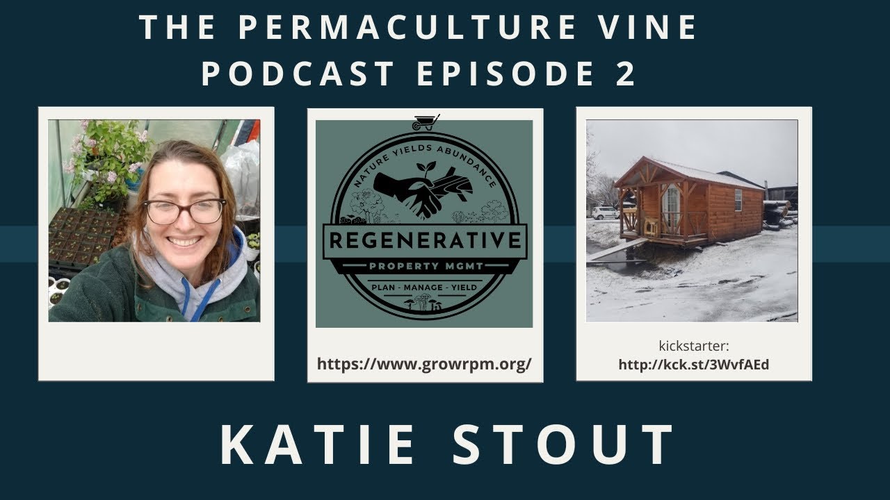 Property Management & Permaculture with Katie Stout - YouTube