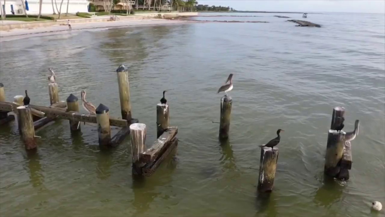 2019 Naples Florida - Gordon Pass - YouTube