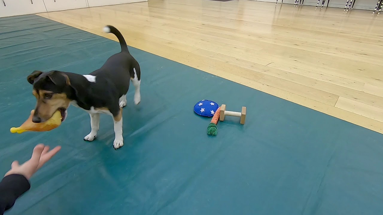 Discern Object Names - intermediate trick - YouTube