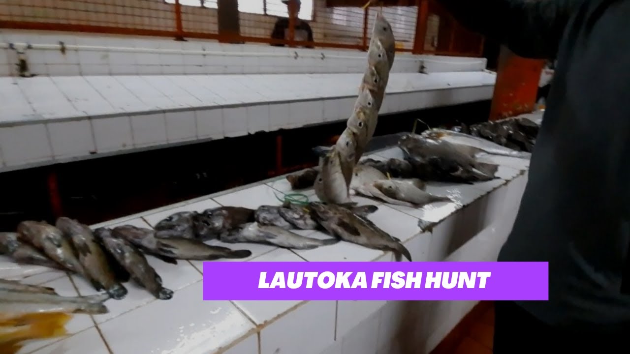 Lautoka fish market (vlog-fiji island) - YouTube