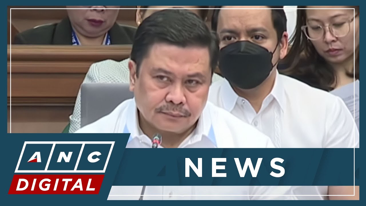 Estrada hits Sarah Discaya: Your own companies compete for the same ...