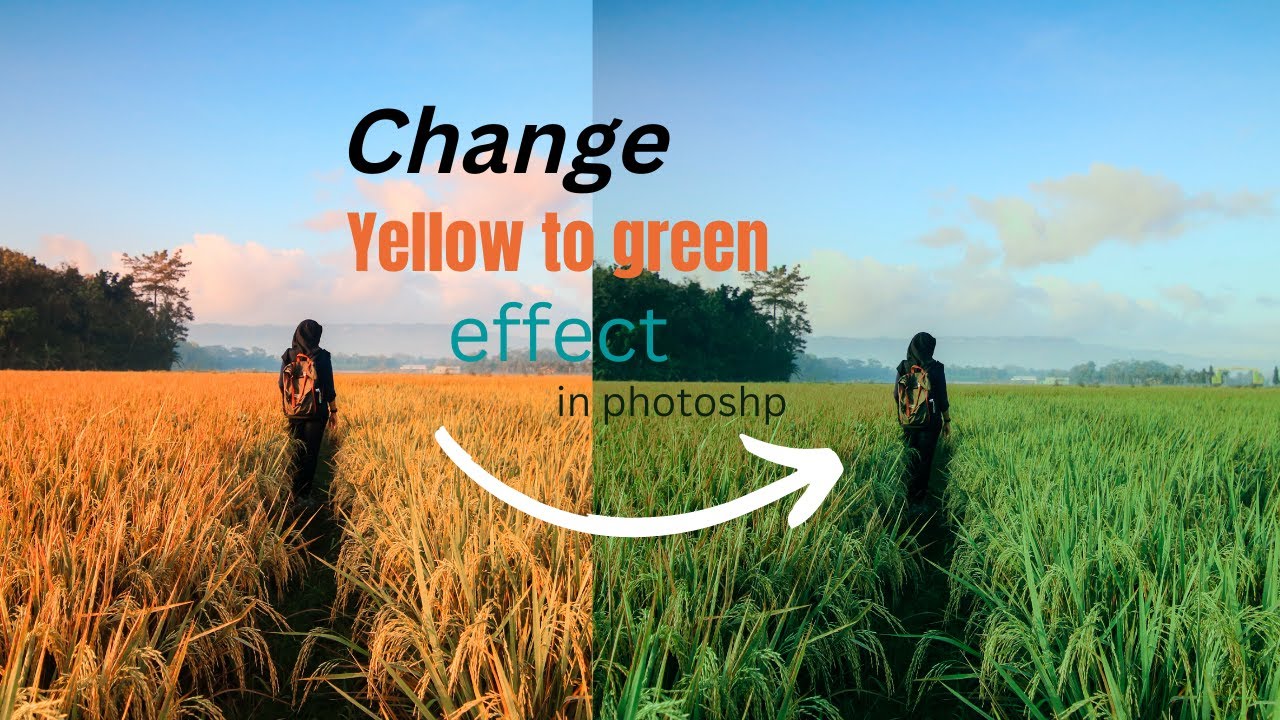 Make autumn to green color effect in photoshop ||photoshop tutorials ...