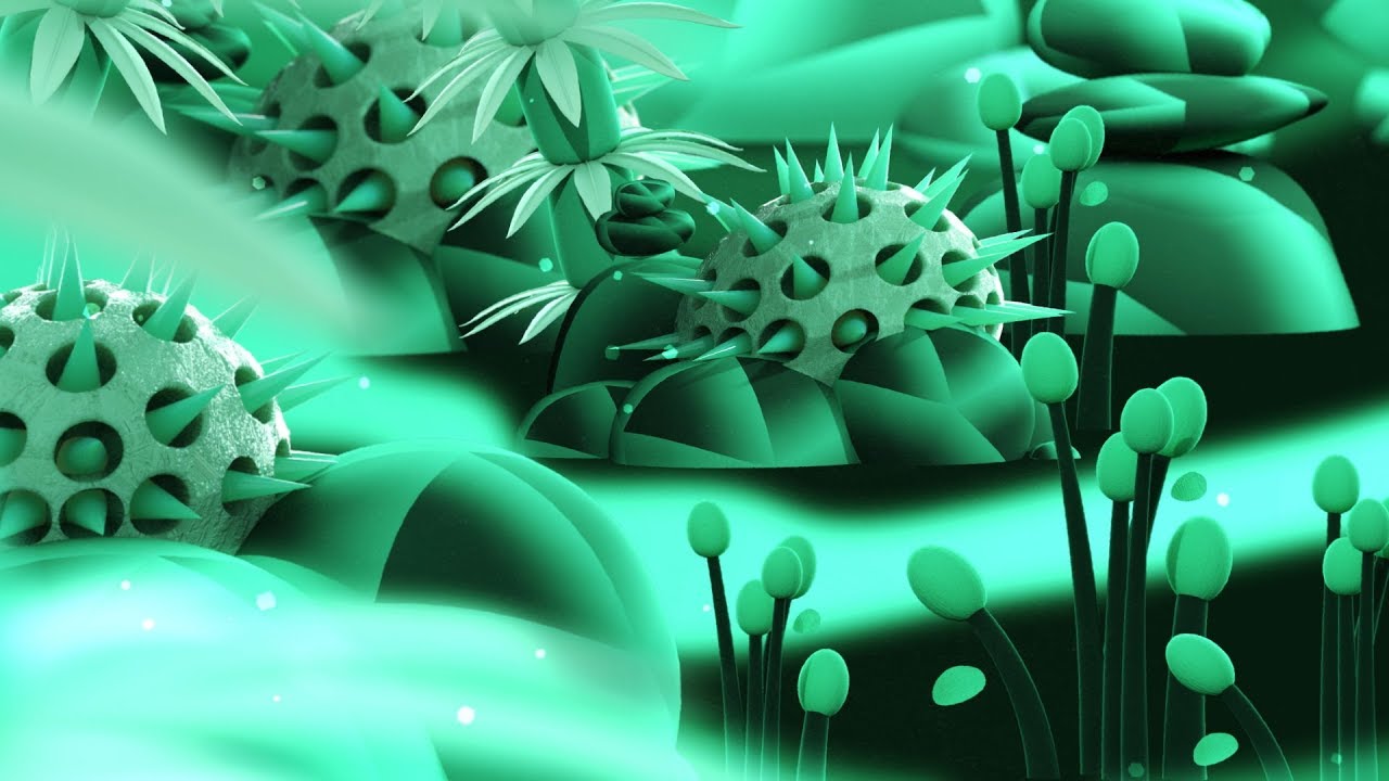 MOON B – Welcome (Official Video) - YouTube